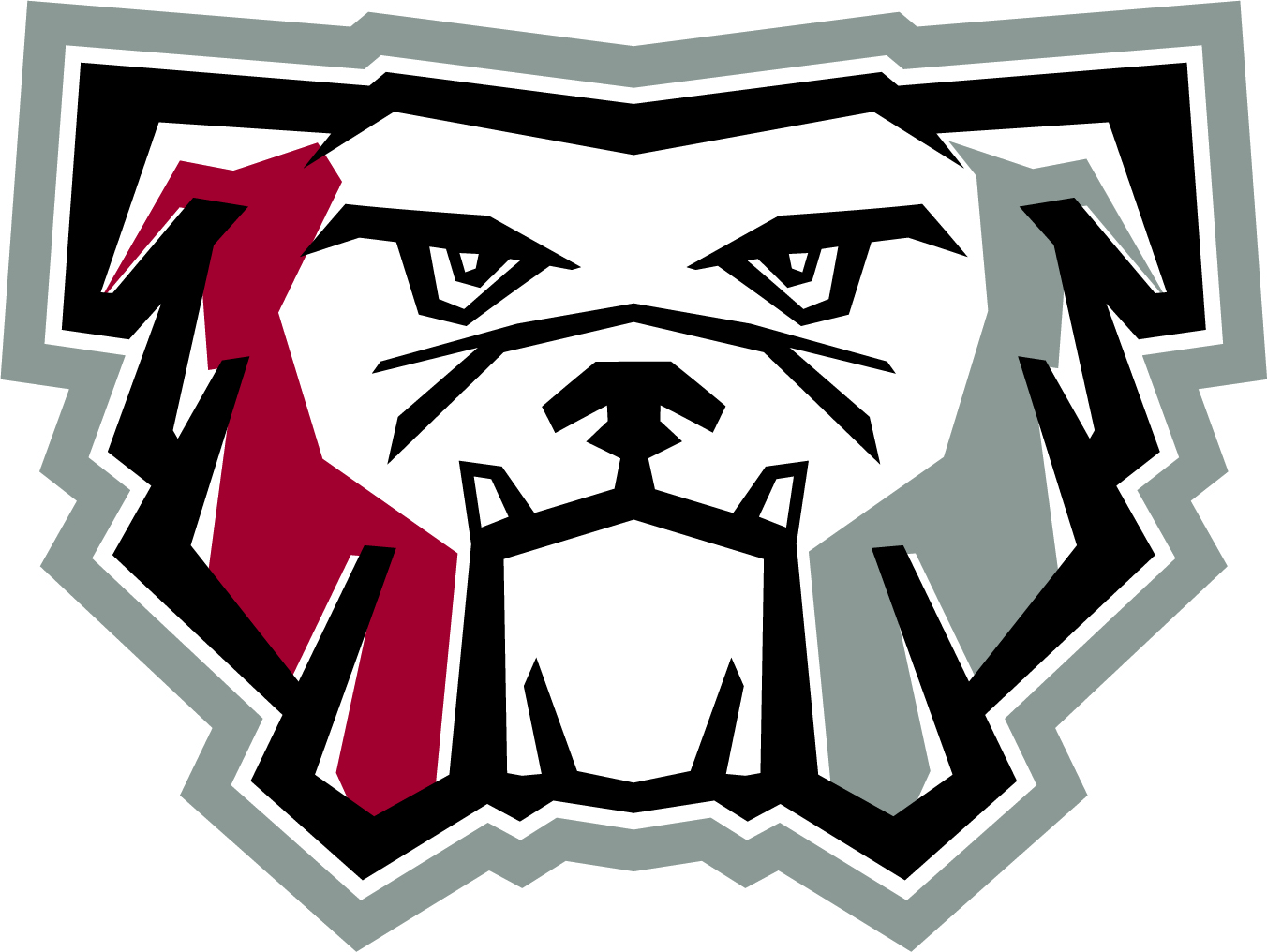 Branding Guide | Thaddeus Stevens College